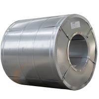 China Complete Specifications Galvanized PPGI Steel Coil with 30-275g/m2 Zinc Coating and 3-5 Tons Coil Weight for sale