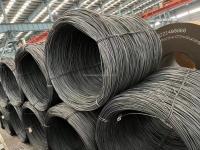 China Low Black Spring Steel Wire 3mm 4mm 5mm 6mm 1670MPA High Tensile Strength and Free Sample Offered with ±1% Tolerance for sale