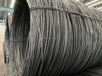 China Low Black Spring Steel Wire 3mm 4mm 5mm 6mm 1670MPA High Tensile Strength and Free Sample Offered with ±1% Tolerance for sale