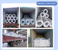 China Free-sample Offered Galvanized Iron Binding Wire Zinc Coated for Binding and Mesh 1.0mm-2.4mm Special Free Cutting Steel for sale