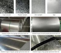 China Minimum Spangle 0.6mm Steel Coil Z275 Hot-dipped Galvanized Steel Coil Gi Sheet for Roofing Sheet Regular Spangle for sale