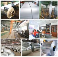 China Prime Hot Rolled Steel Sheet in Coil for Coil Length 3000-6000mm Grade DX51D Z/DX52D Z/DX53D Z/DX54D Z etc for sale