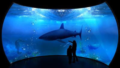 China LED Projection Domes Ocean Immersive Theatre Dome AV Technology for sale