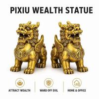 China Brass Pixiu Statue Pair Feng Shui Figurine for Home Office Wealth for sale