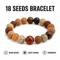 China Handmade 18-Seed Taoist Bracelet with Mixed Beads for Luck Protection and Daily Wear for sale