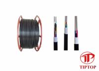 China ASTM A269 316L Ss Welded Multi Core Coiled Line Pipe for sale