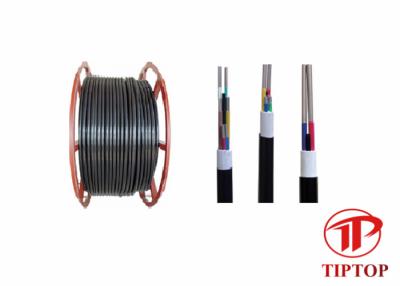 China ASTM A269 316L Ss Welded Multi Core Coiled Line Pipe for sale
