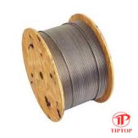 China Welding ASTM A789 Super Duplex 2507 Stainless Steel Coils for sale
