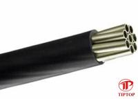 China PVC Sheath Cold Drawn Seamless 304L Multi Core Tubing for sale