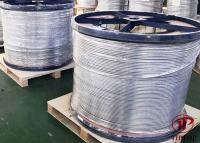 China Austenitic UNS S32205 SS Control Line Tubing ASTM A269 for sale