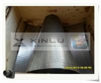 China Stainless Steel Wedge Wire 100 Mesh Filter Screen for Water Treatment Customized for sale