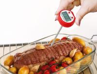 China Digital Pen Case Smart Meat Thermometer Food Thermometer Kitchen Cooking Portable Probe Model Hot Sales Temperature Measurement for sale