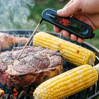 China InstaProbe (Less Than .6 Seconds) Professional Meat Thermometer Digital, Instant Read Thermometer with OLED Display, IP67 Waterproof for Grill, BBQ, Cooking, Smoker, Home Brewing, NSF Certified for sale