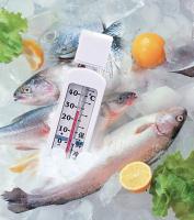 China G590 Kitchen Appliance Fridge Freezer Thermometer Wide Measuring Range for sale