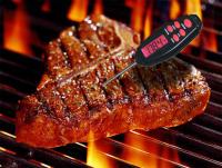 China Test Instruments IPX 4 Digital Bbq Thermometer With Plastic Protection for sale
