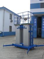 China 10m Battery or Manual Double Mast Vertical Lift Aluminum Lift Single Person Elevator Electric Lift Ladder for sale