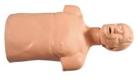 China Environmental Protection PVC Half - Body First Aid Manikins for CPR Operation Practising for sale