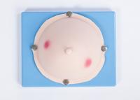 China Breast Abscess Examination Gynecologic Simulator PVC Medical Training Manikin 3x3cm 2x2cm for sale