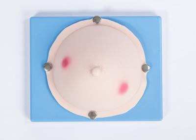 China Breast Abscess Examination Gynecologic Simulator PVC Medical Training Manikin 3x3cm 2x2cm for sale