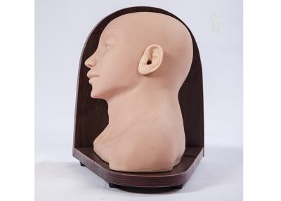 China 25 Lesions Ear Examination Medical Model for Hospital School Training PVC CE Approved for sale