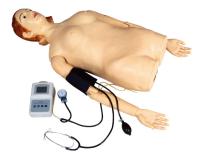 China Female Half-Body Palpation Simulator with Blood Pressure Measurement for Medical Training for sale