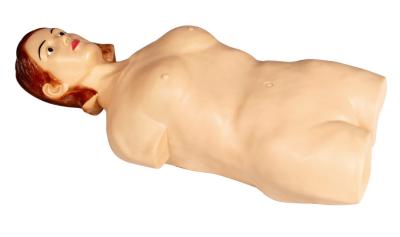 China Female Half-Body Abdominal Palpation Simulator Manikin for Medical Training for sale