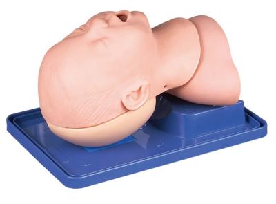 China Infant Airway Management Head Model for Tracheal Intubation Training ISO 9001 for sale