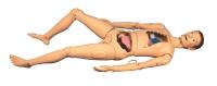 China Modular PVC Full Body Nursing Manikin 80cm for Adult Training ISO Certified for sale