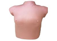China Female Upper Body Breast Examination Simulator Moderate Size with Tumor Palpation Training for sale
