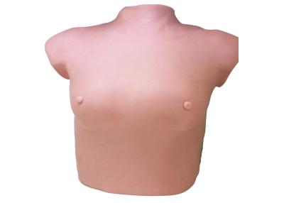 China Female Upper Body Breast Examination Simulator Moderate Size with Tumor Palpation Training for sale
