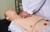 China Advanced Adult Full Body Male Nursing Manikin with CPR and BP Measurement for sale