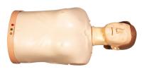 China Half Body CPR Manikin with Electronic Light Display Chest Compression Training 5-6cm Depth for sale
