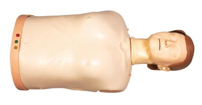 China Half Body CPR Manikin with Electronic Light Display Chest Compression Training 5-6cm Depth for sale