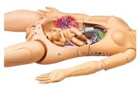 China Maternal Neonatal Child Birth Simulator PVC Medical Teaching Training Delivery Emergency Model for sale