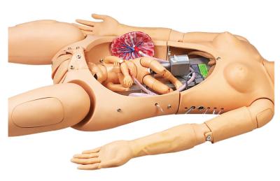 China Maternal Neonatal Child Birth Simulator PVC Medical Teaching Training Delivery Emergency Model for sale