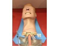 China ISO 9001 Adult PVC Airway Training Manikin 80cm Intubation Model for sale