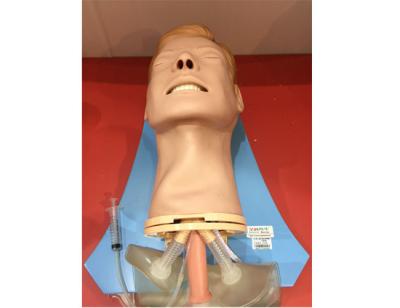 China ISO 9001 Adult PVC Airway Training Manikin 80cm Intubation Model for sale