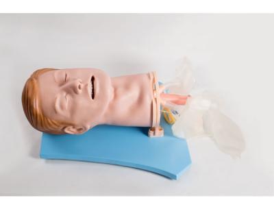 China Adult Intubation Training Manikin with Breath Sound Function ISO Certified for sale