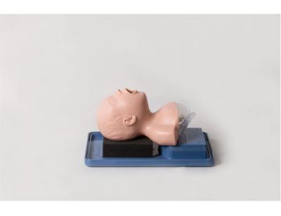 China Neonate Intubation Training Manikin Head Anatomical Structure PVC Pediatric Simulation Model for sale