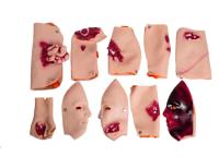 China PVC Simulating Wounds Trauma Training Nursing Manikin for sale