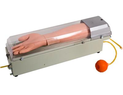 China Puncture Training PVC Rotatable Radial Artery Arm for sale