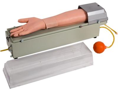 China Imported PVC Mechanical Rotating Artery Puncture Simulation Arm for Hospital Injection Training for sale
