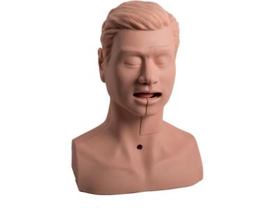China PVC Suction Sputum Training Simulator for Clinical Nursing Nasal Oral Intubation Practice for sale