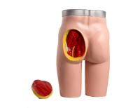 China PVC Nursing Intramuscular Injection Buttocks Model 57cm Medical Training for sale