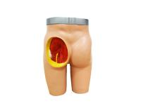 China Intramuscular Injection Training Artificial Buttocks 57cm Medical Teaching Model for sale