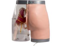 China Skin Color VC Intramuscular Injection Buttock Model for sale
