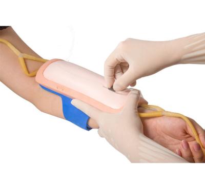 China Paint Vein Injection Pad Nursing Model For Hospital Training for sale
