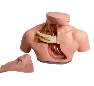 China Parenteral Alimentation PVC Human Patient Simulator for sale