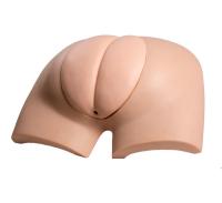 China PVC Wearable Artificial Defecation Nursing Simulator for Medical Training 1 Year Warranty for sale
