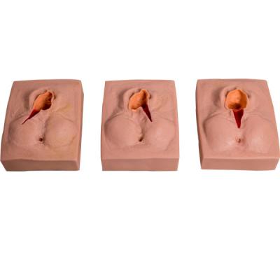 China PVC Vulva Suturing Child Birth Simulator for Medical Training ISO 9001 for sale